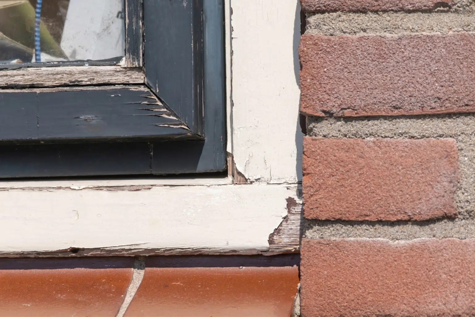 What Causes Rotten Window Frames? Culprits and Solutions